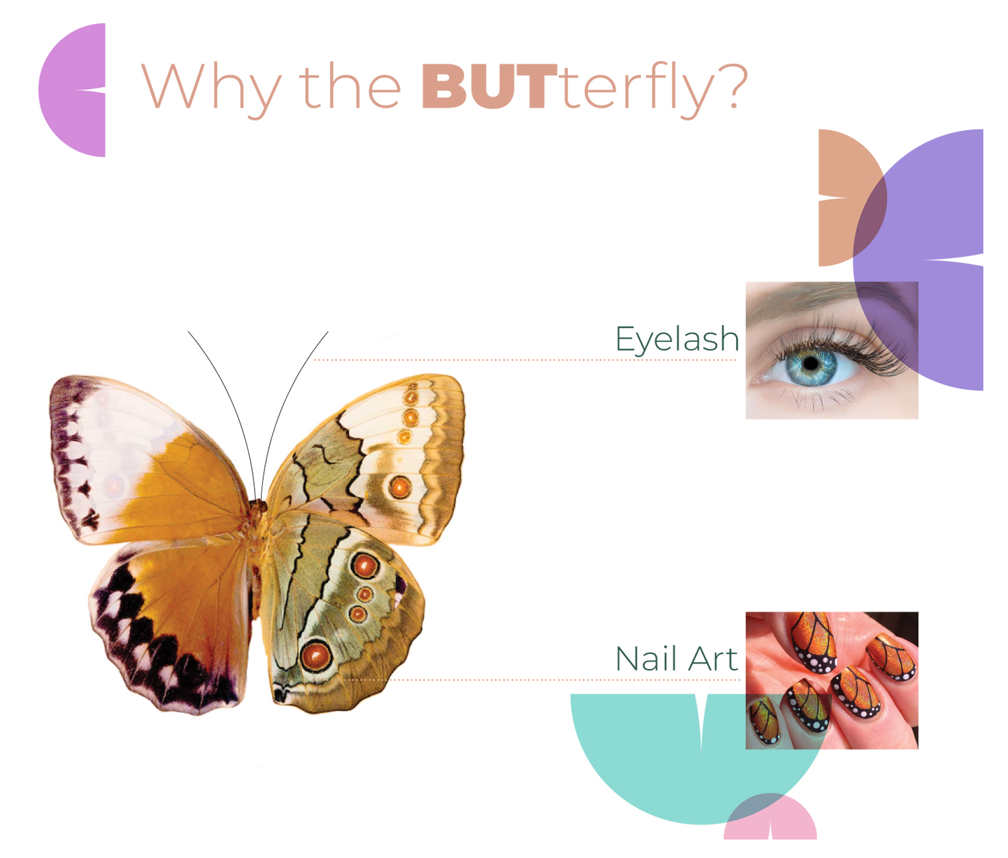 Butterfly - DDID Agency